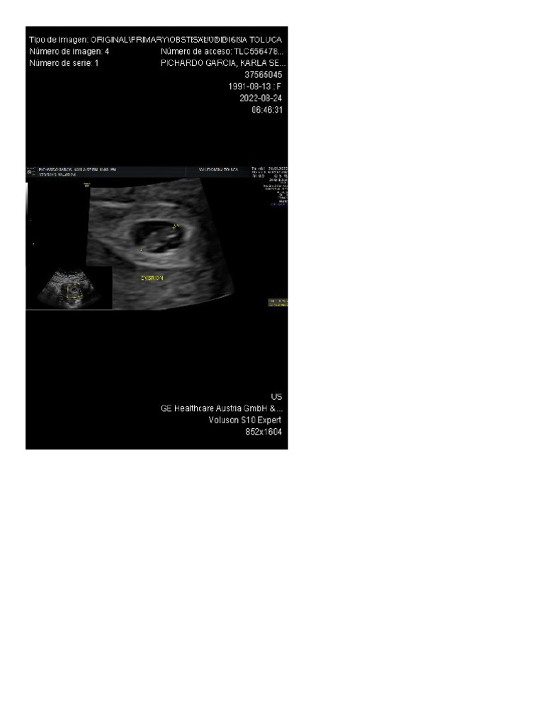 Synapse Mobility | PDF