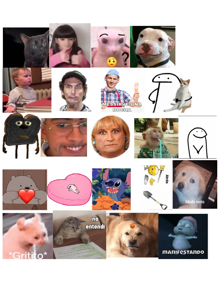 Memes para Corregir | PDF