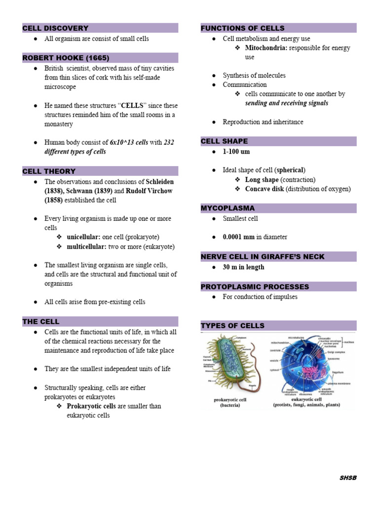 Cell Discovery | PDF | Mitosis | Cell Membrane