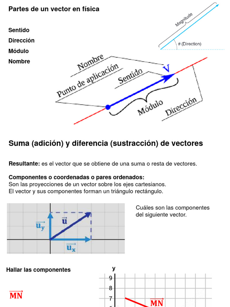 Clase 8 Física | PDF | Vector Euclidiano | Triángulo