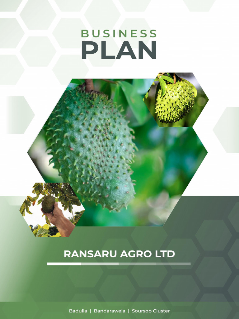 BP - Ransaru Agro Products Final Draft (1) | PDF