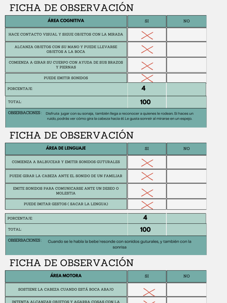Ficha de Observación | PDF