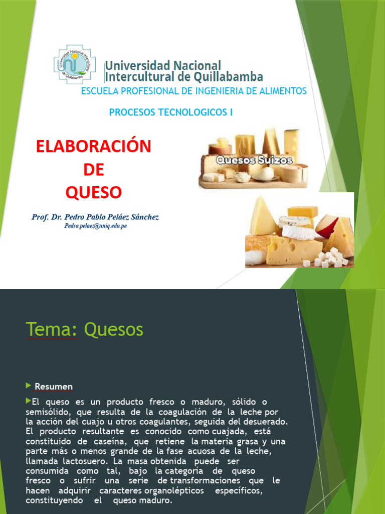 3 Elaboracion de Queso | PDF