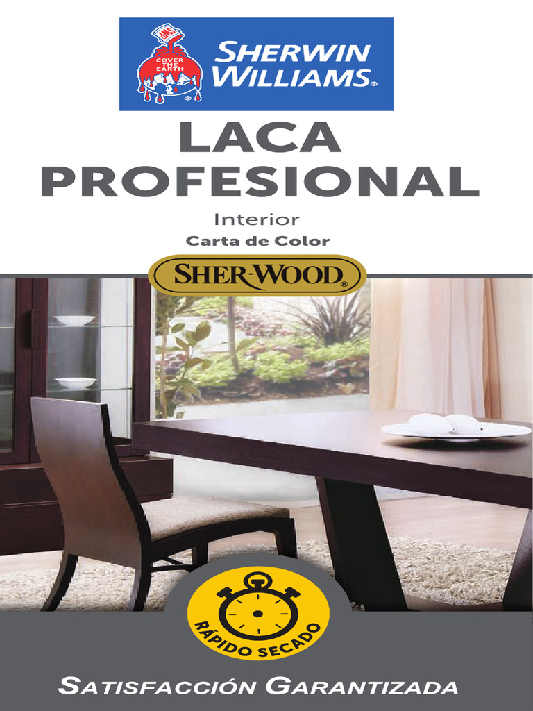 Carta de Color Laca Profesional WEB | PDF