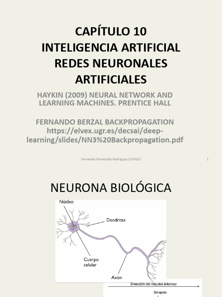 Redes Neuronales | PDF | Red neuronal artificial | Ciencia cognitiva