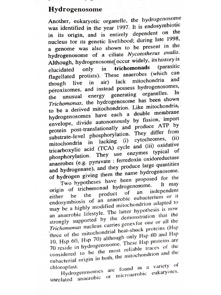 Hydrogen o Some | PDF