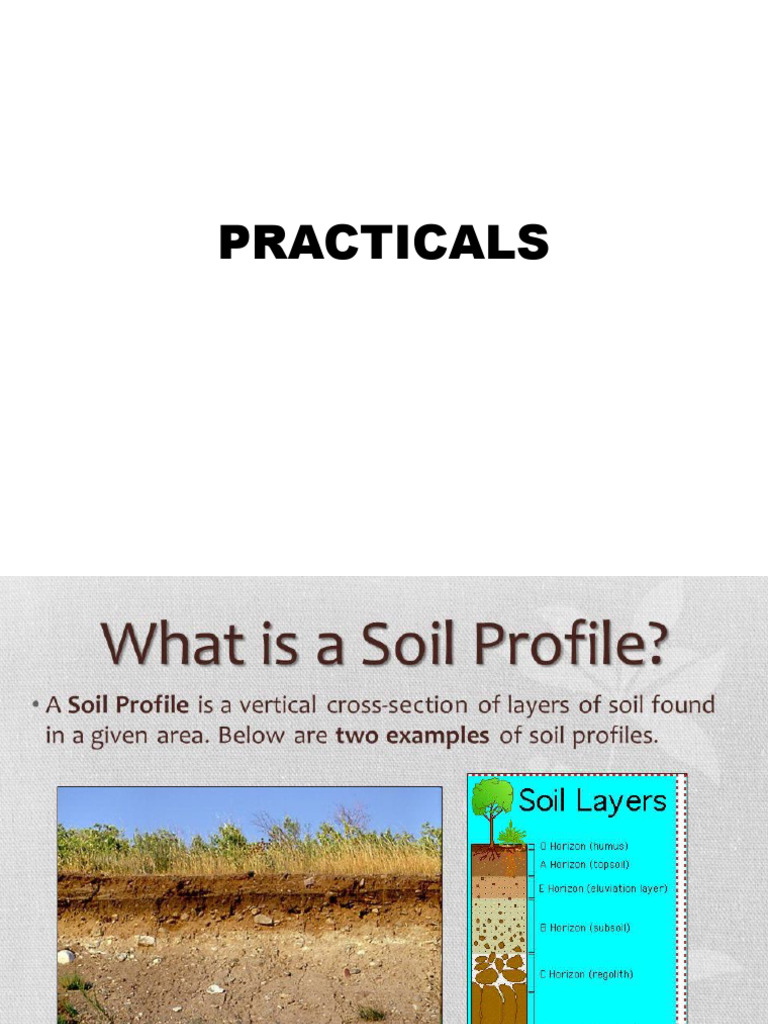 Foss Practicals | PDF