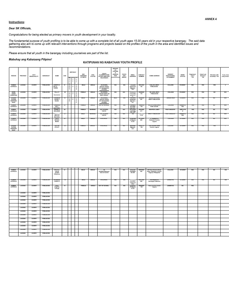 Youth Profiling Guide for SK Officials | PDF