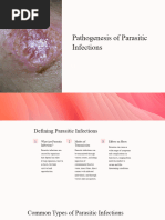 Ipde Screening | PDF