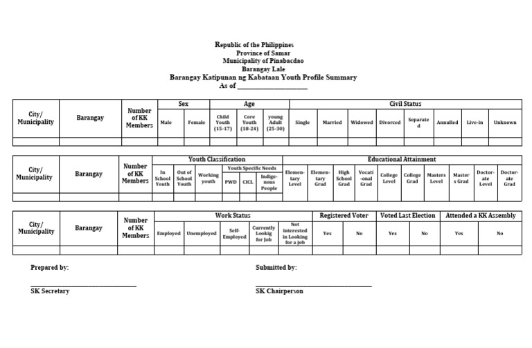 Annex 5 Barangay Katipunan NG Kabataan Youth Profile Summary Template | PDF