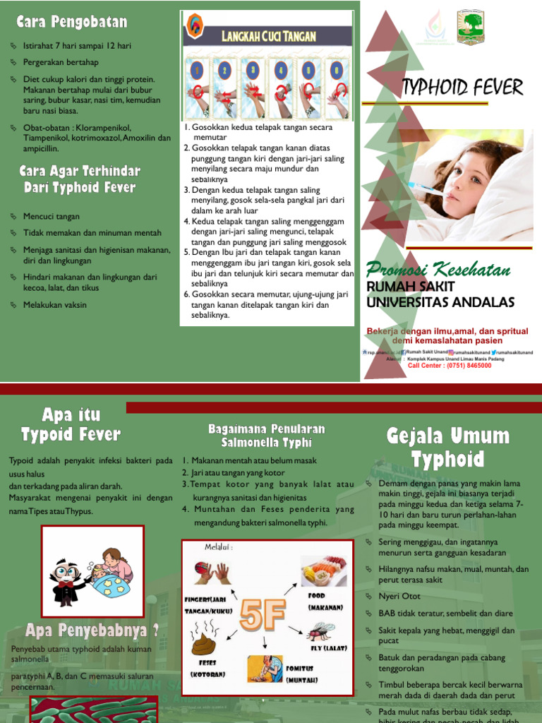 Typhoid Fever | PDF