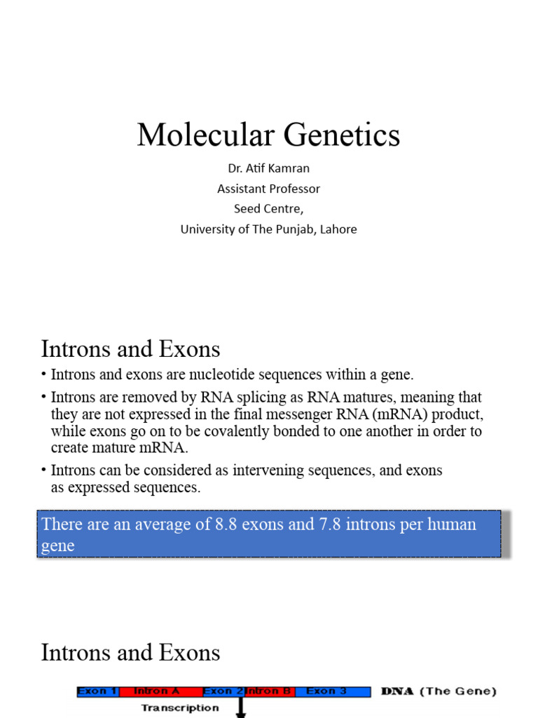 Understanding Introns and Exons in Genes | PDF | Intron | Exon