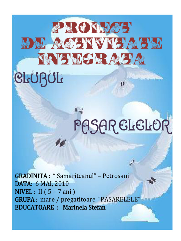 Pasarile Proiect | PDF