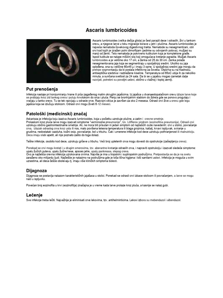 Ascaris Lumbricoides | PDF