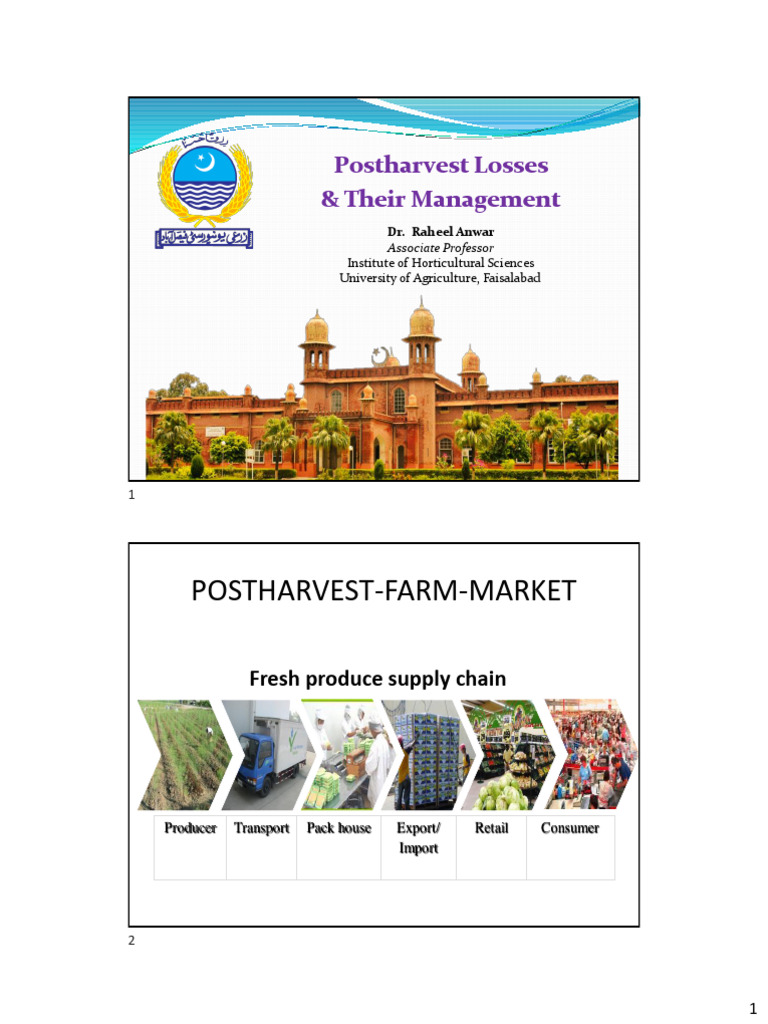 Postharvest Losses and Their Management | PDF | Postharvest | Food And ...