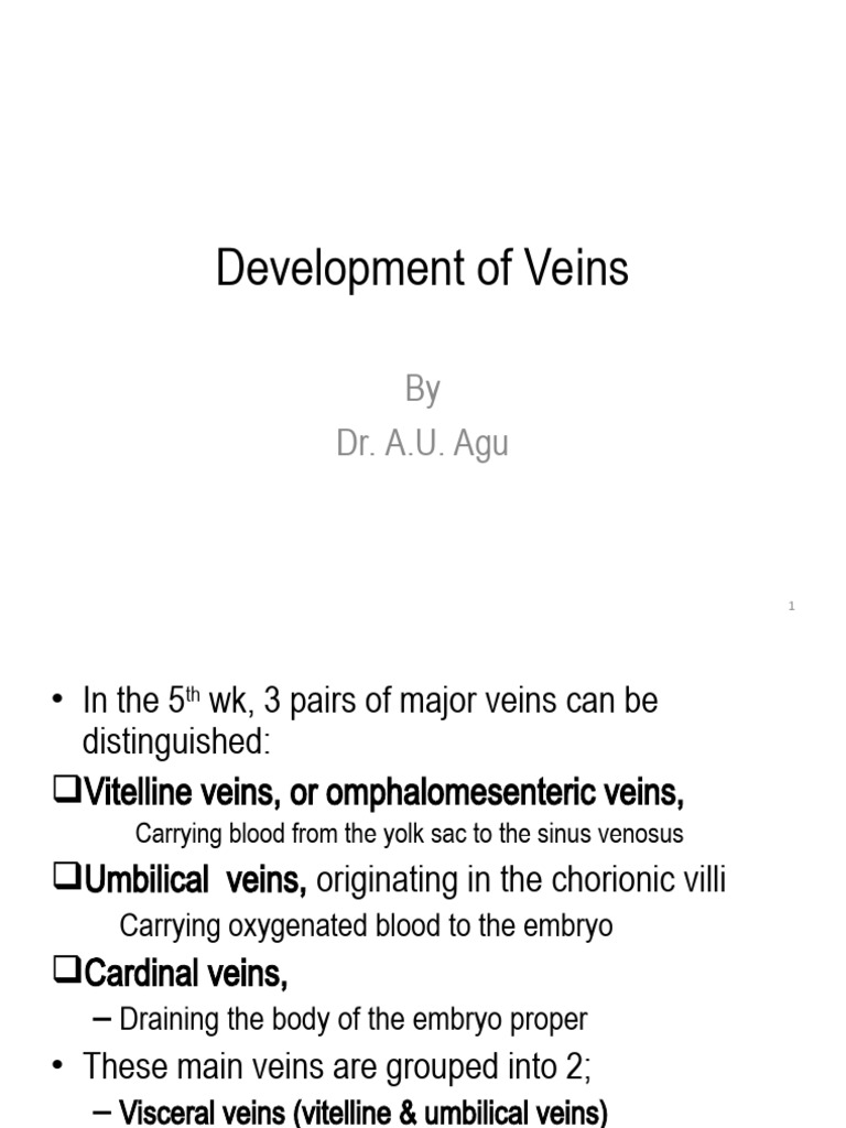 Development of Veins | PDF | Vein | Aorta