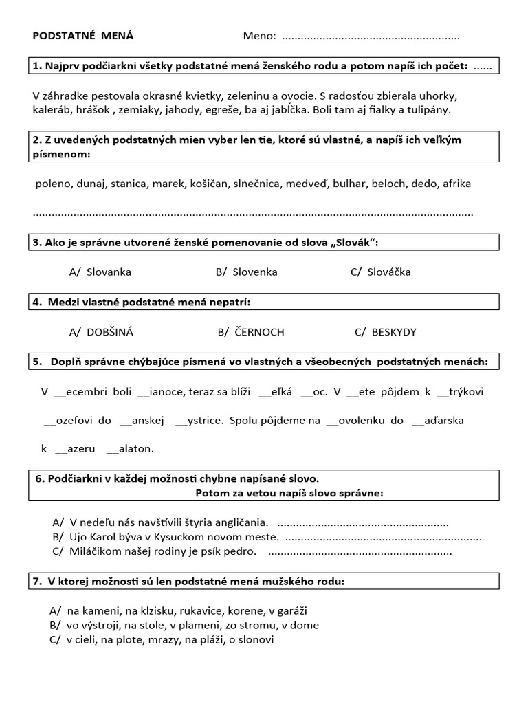 Podstatné Mená - Test Alebo Cvičenie (S Riešením) | PDF