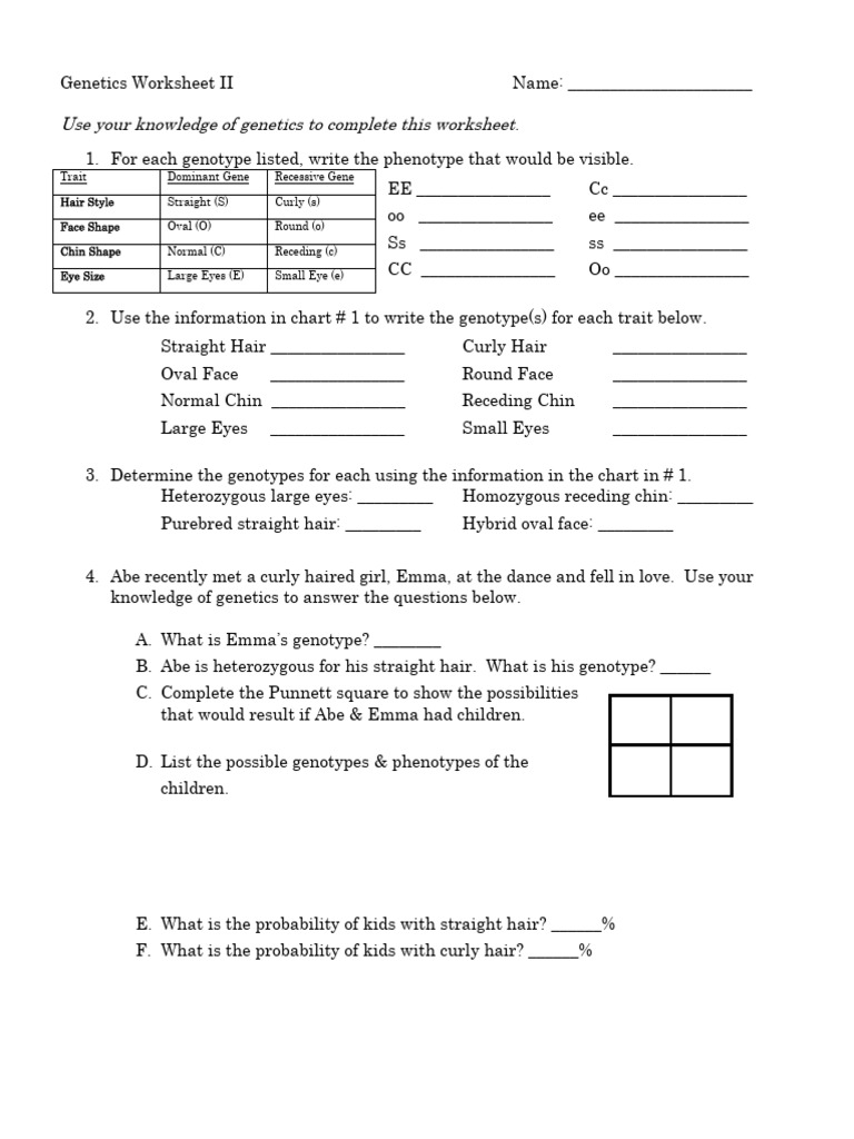 Genetics Worksheet II | PDF | Genotype | Zygosity