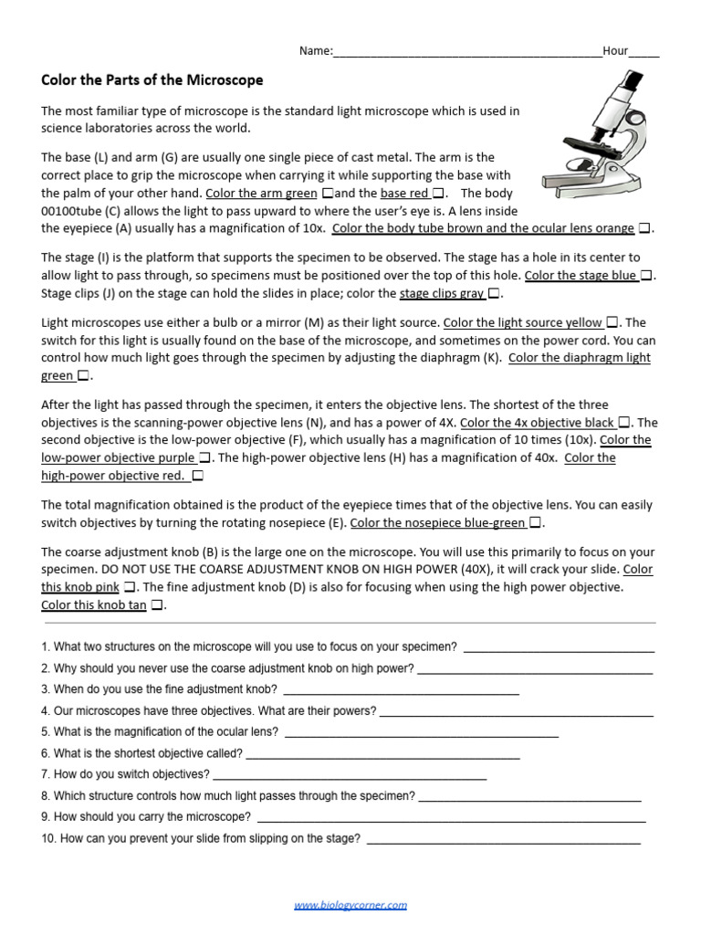 Microscope Coloring Guide for Students | PDF | Materials Science ...