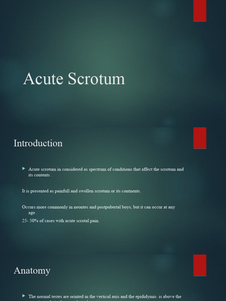 Acute Scrotum: Causes and Management | PDF