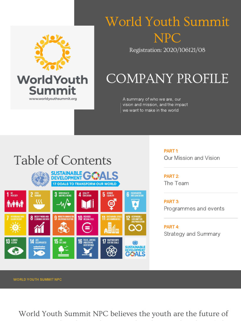 World Youth Summit NPC Company Profile | PDF | Economies