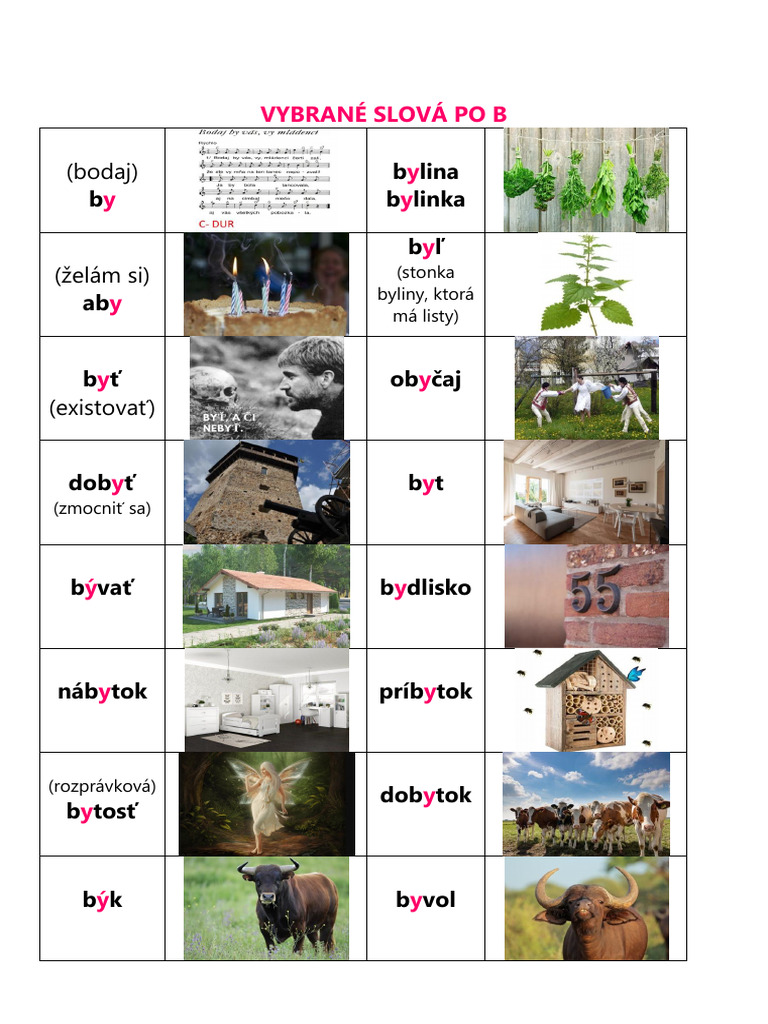 Vybrané slová po B | PDF