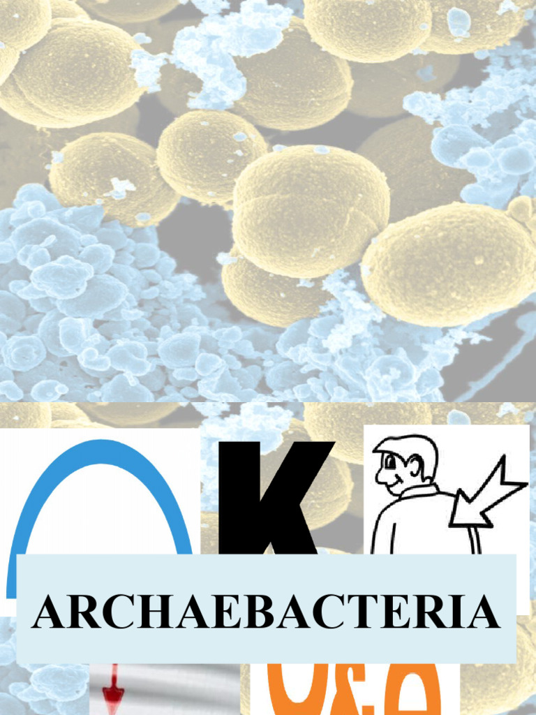 Kingdom Archaebacteria & Eubacteria | PDF