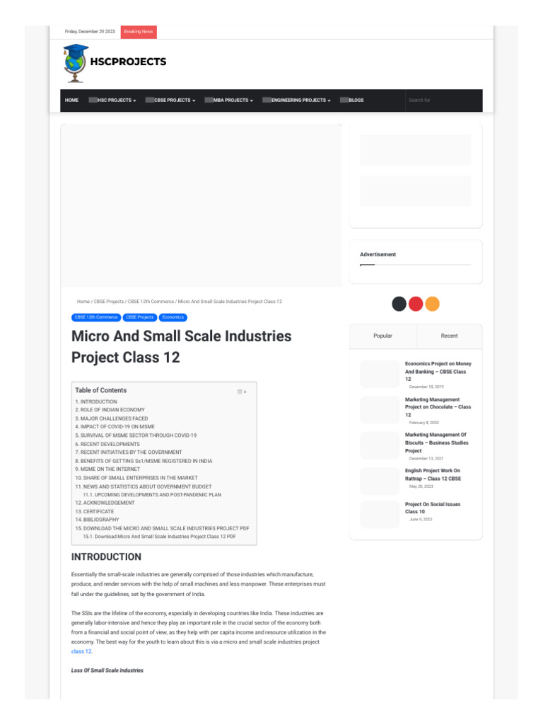 Hscprojects Com Micro and Small Scale Industries Project Class 12 MSME ...