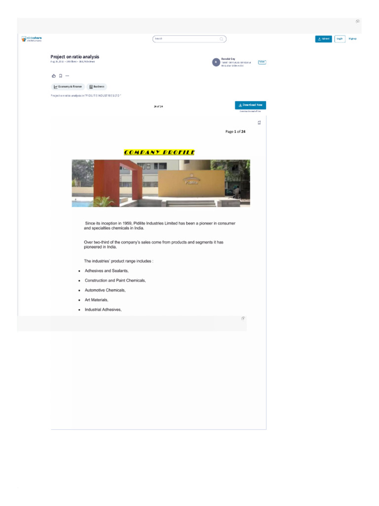 WWW Slideshare Net Ranobirdey07 Project On Ratio Analysis | PDF | Trade ...