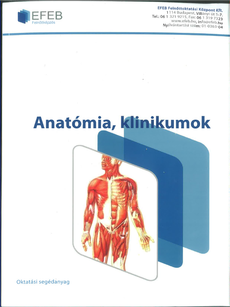 Anatomia Klinikumok Tankonyv | PDF