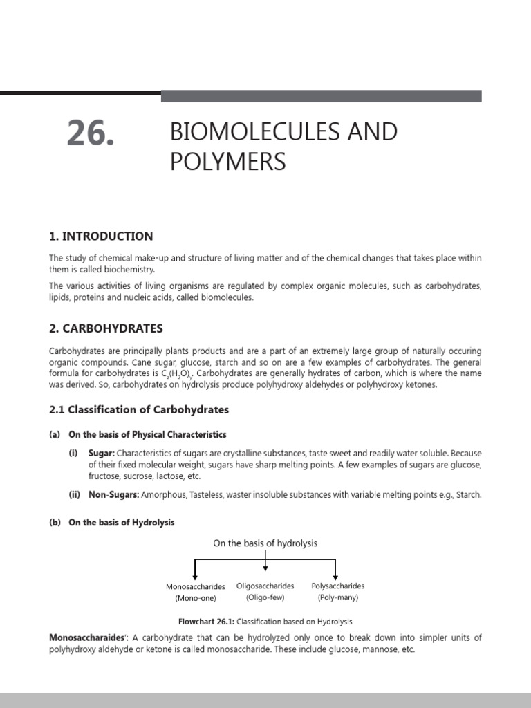 Biomolecules and Polymers Theory | PDF | Carbohydrates | Glucose