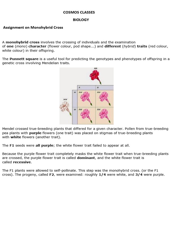 Monohybrid Cross Pdf