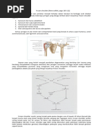 Line Bisection and Star Cancellation Test | PDF