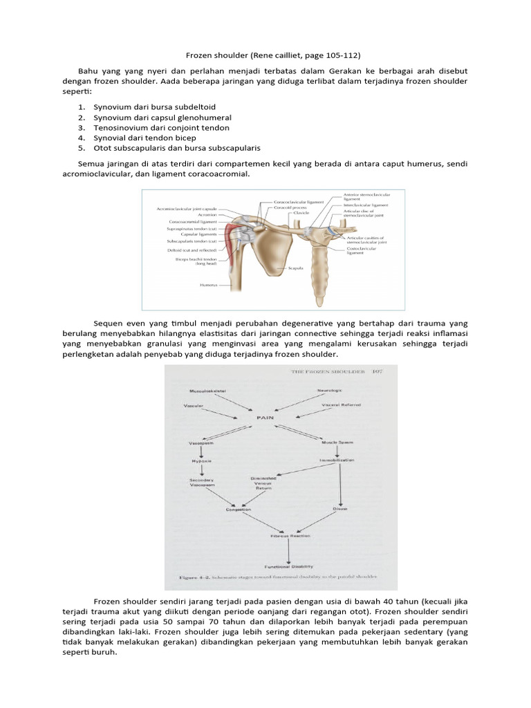 Frozen Shoulder | PDF