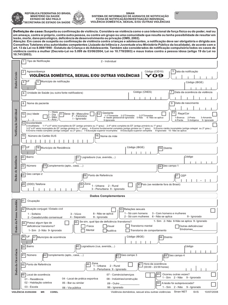 Notificação de Violência SINAN | PDF