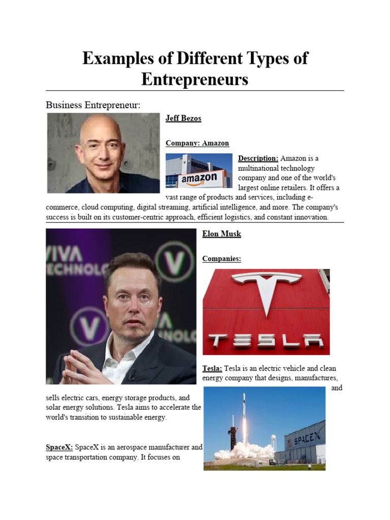 Types of Entrepreneurs Explained | PDF | Entrepreneurship | Car