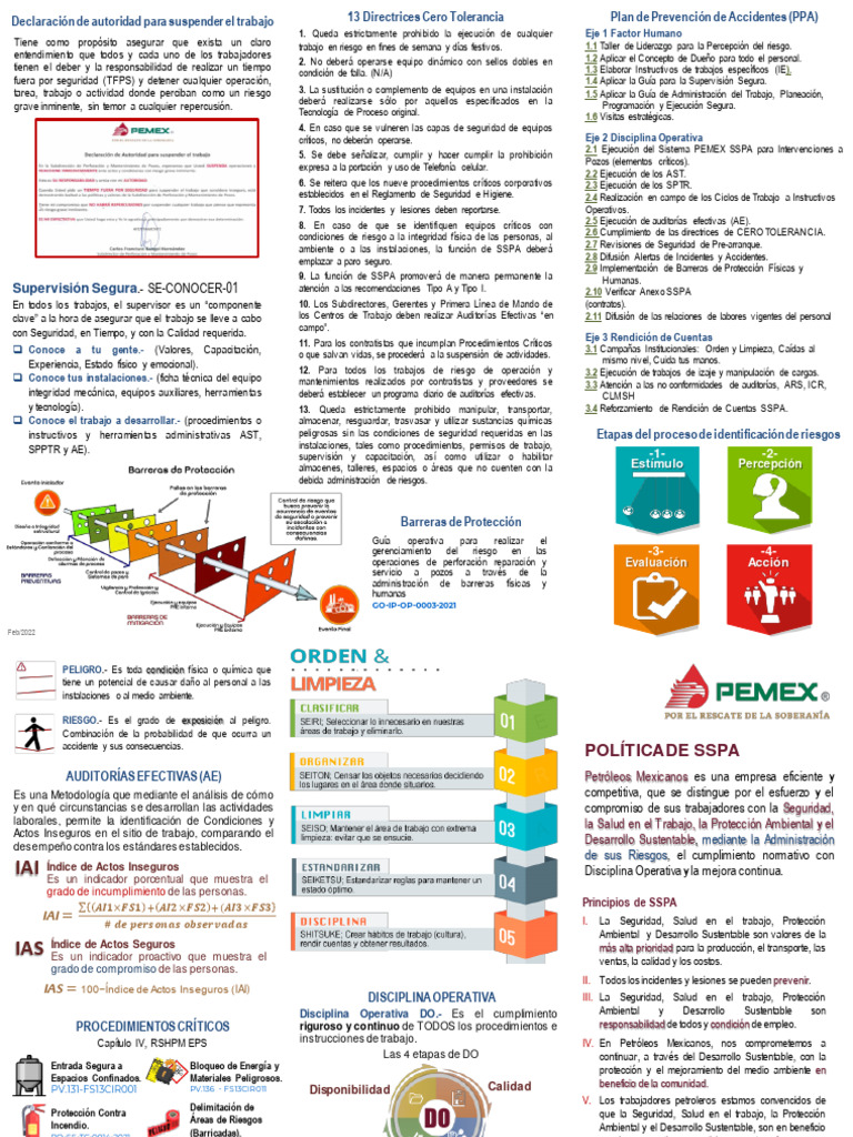 Triptico Seguridad Ppa | PDF