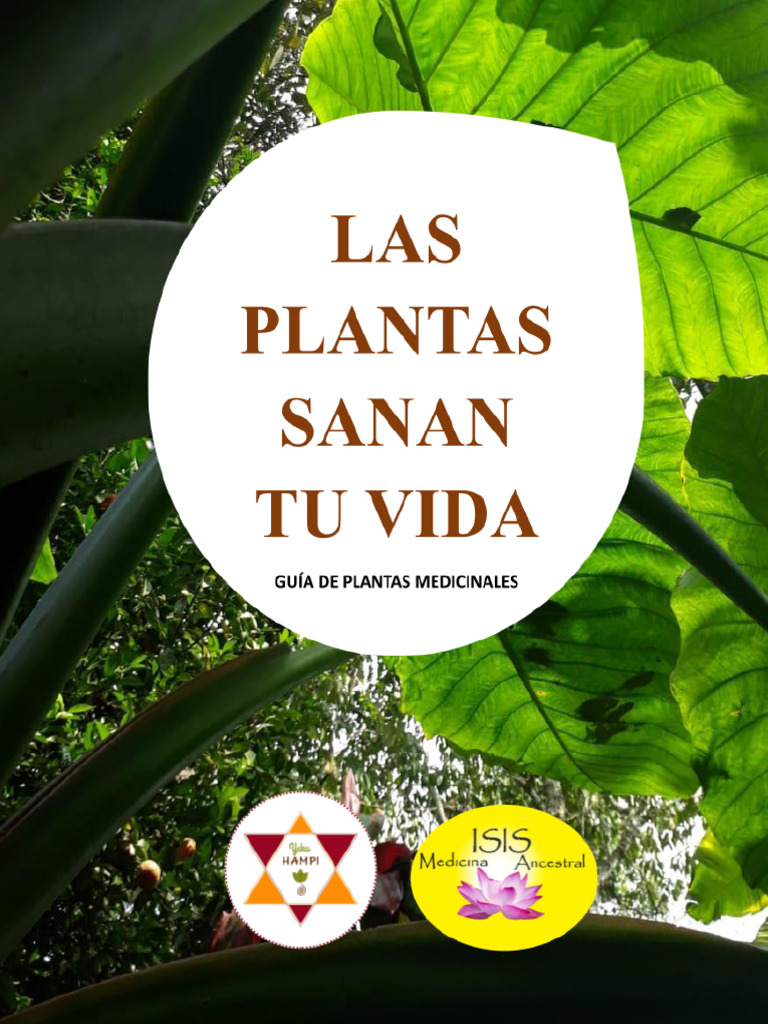 Recetario. usos medicinales y energeticos de las plantas (2) | PDF