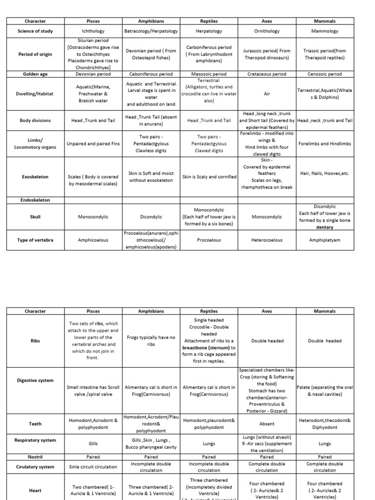 Vertebrate Classification and Characteristics | PDF