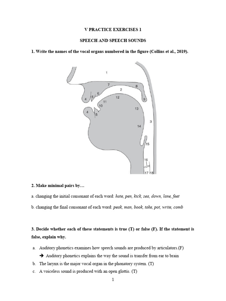 Lecture 1 Practice Exercises | PDF