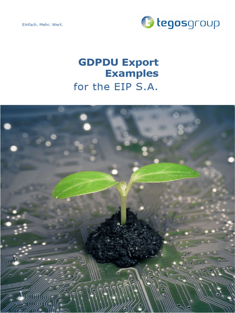 GDPDU Export Examples | PDF