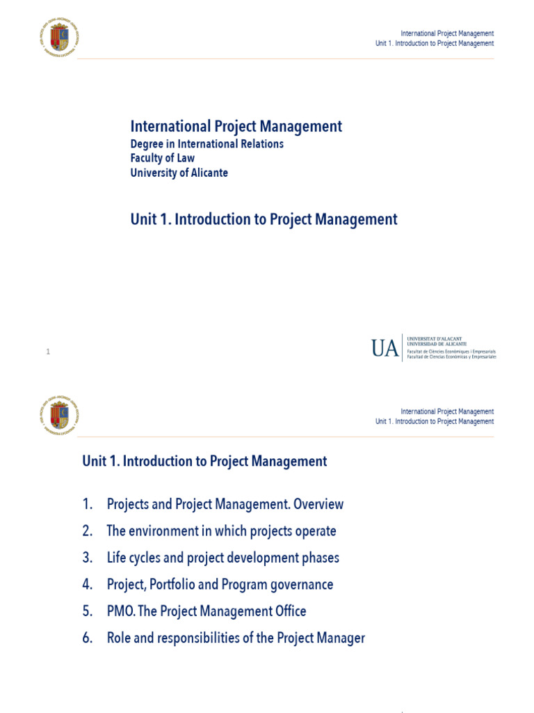 Dpi Unit 1 - Theory | PDF | Project Management | Agile Software Development