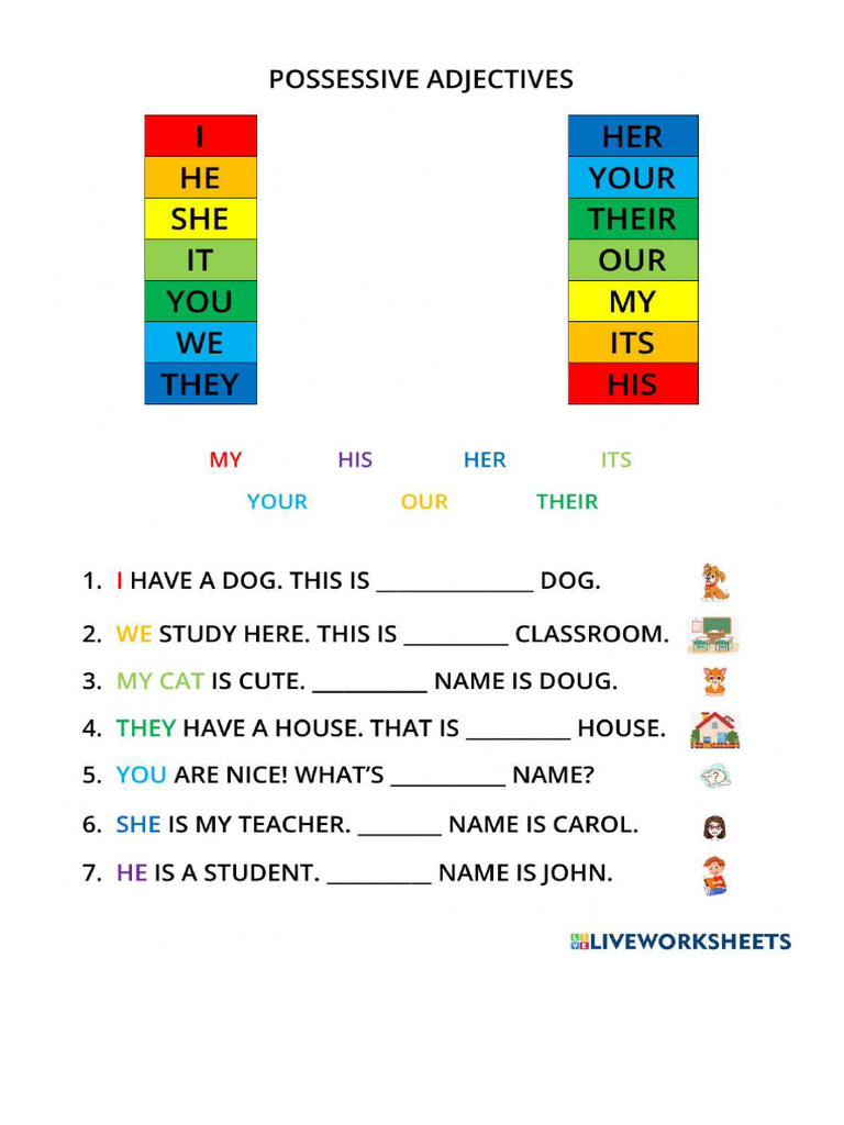 Adapted Week 10 Possessive Adjectives | PDF