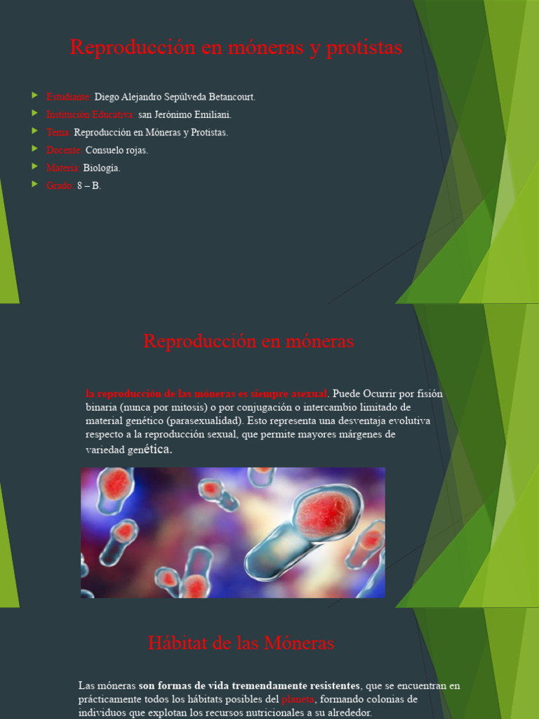 Reproduccion en Moneras y Protistas | PDF