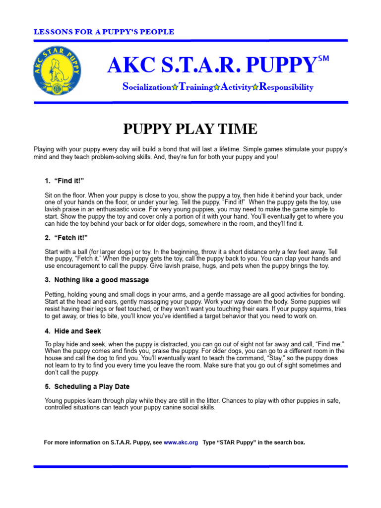 Lesson Puppy Play Time | PDF