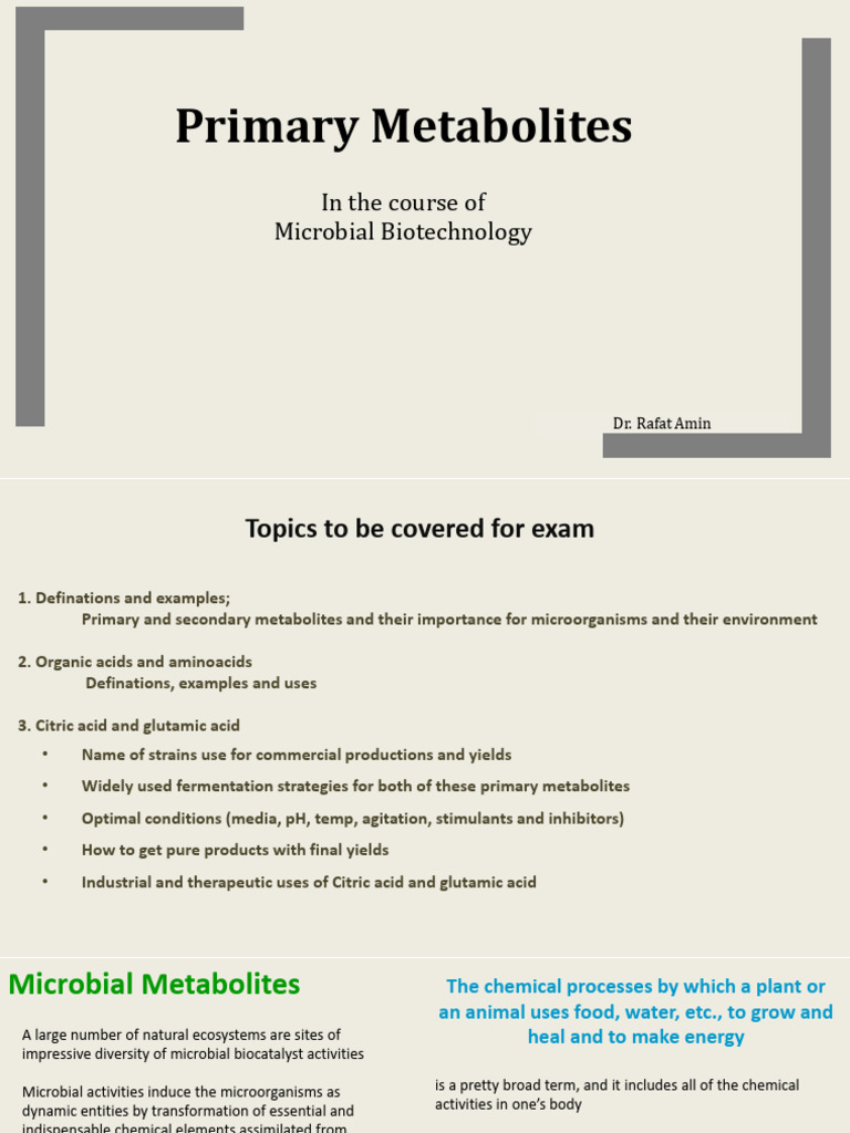 Lecture 2a-Primary Metabolites | PDF | Metabolism | Amino Acid Lecture 2a-Primary Metabolites | PDF | Metabolism | Amino Acid