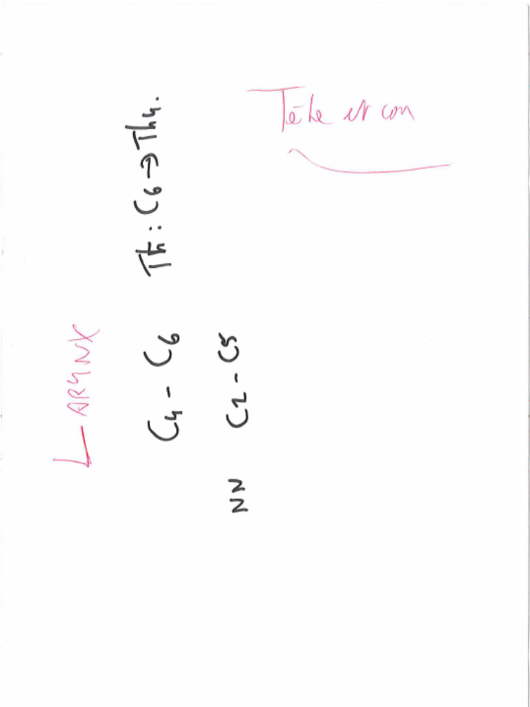 Schémas Tete Cou | PDF