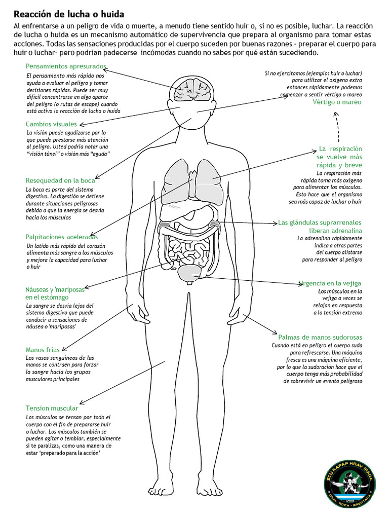 MODULO 2 - Anexo I - Reaccion-de-lucha-o-huida | PDF | Respuesta de ...