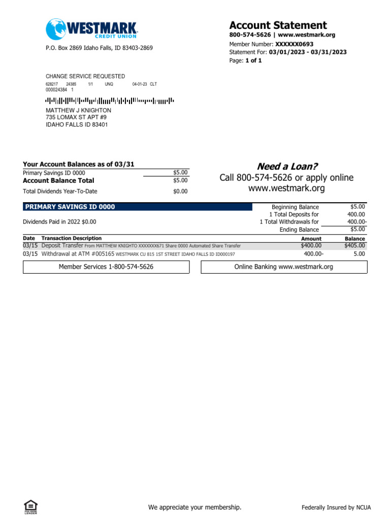 Nabil Bank Statement Sample | PDF