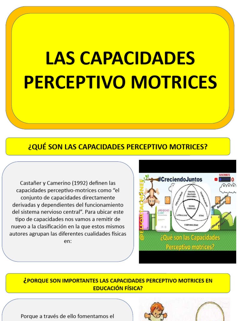 Que Son Las Capacidades Perceptivo Motrices